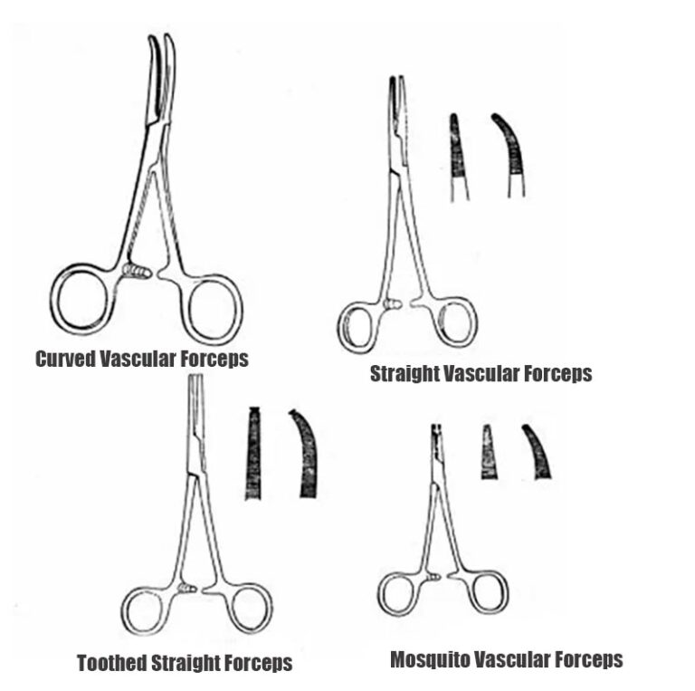 What Are The Most Commonly Used Basic Surgical Instruments?
